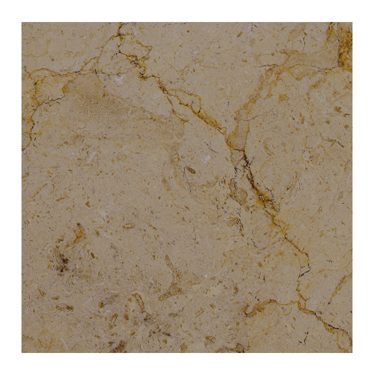 Escape Room The Game - Adventure - Virus