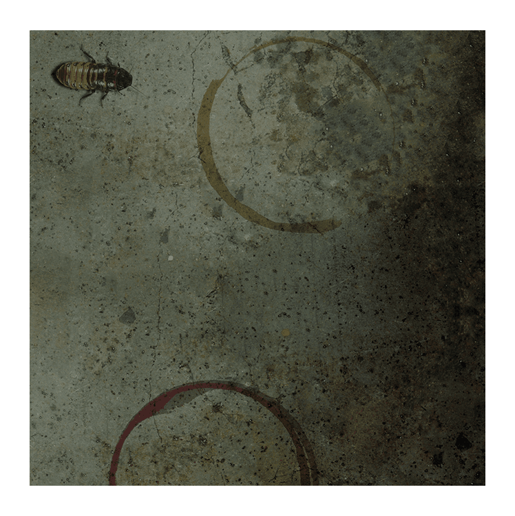 Escape Room The Game - Adventure - Virus